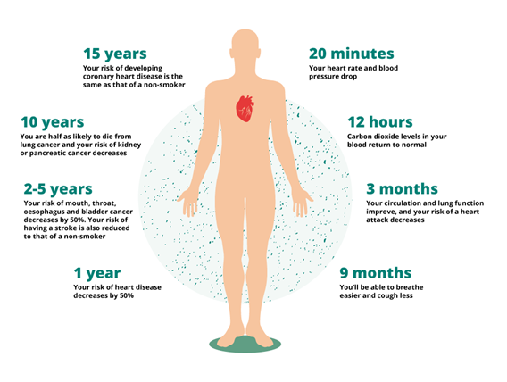 How smoking impacts the body | Preventing Diabetes